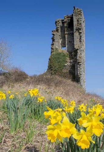 History & Heritage | Doonbeg