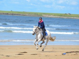 Things to Do - Doonbeg